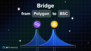 Bridge Crypto from Polygon to BSC (BNB)in 6 Steps